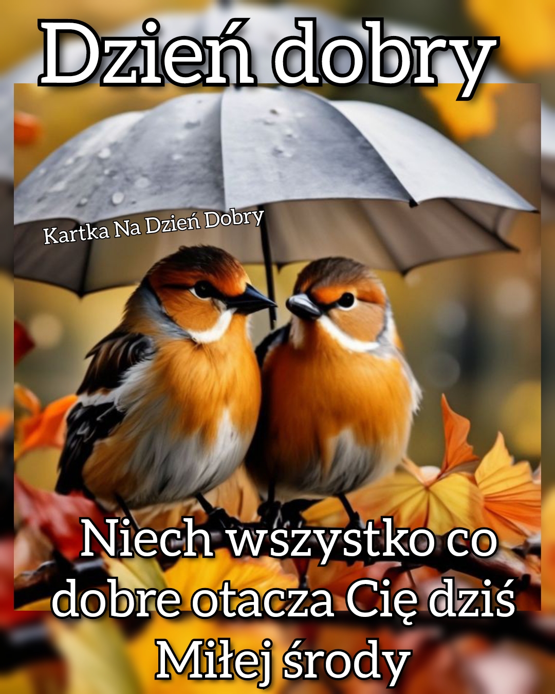 Nowe obrazki i pozdrowienia na środę - Twoje Karteczki